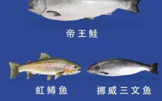 鲑怎么读拼音_鲑鱼发音常见误区