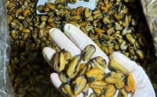 淡菜干怎么泡发_淡菜干的做法大全