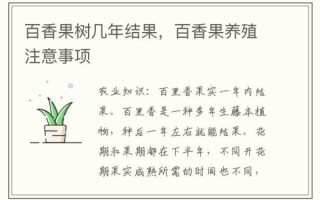 香果树怎么养_香果树几年结果