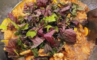 紫苏焖鸭怎么做才正宗_广东紫苏焖鸭做法