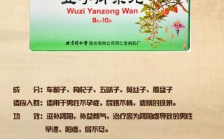 肾阳虚吃什么中成药_肾阳虚如何调理