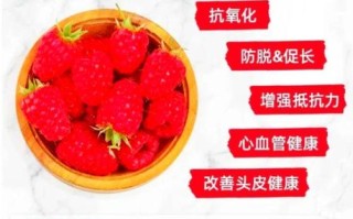 覆盆子怎么种_覆盆子种植时间和方法