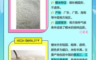 粳米和糯米的功效区别_哪个更适合养胃