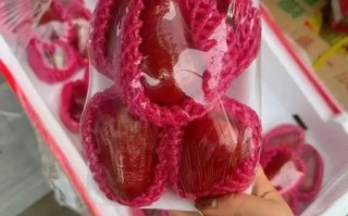 莲雾多少钱一斤现在_莲雾价格为什么这么贵