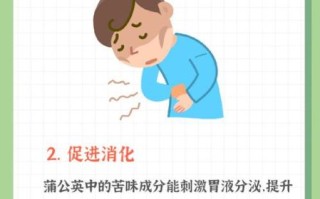 蒲公英泡水喝的功效与作用_蒲公英能治哪些病