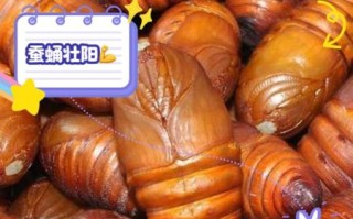长期食用蚕蛹对人有没有危害_蚕蛹吃多了会怎样