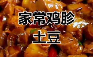 炖鸡胗的做法大全_鸡胗怎么炖才嫩