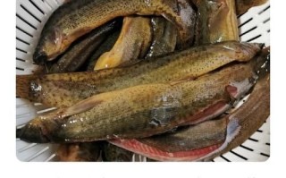 干煸泥鳅怎么做_干煸泥鳅的家常做法