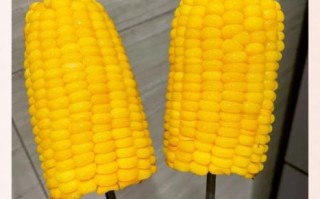 锡纸烤玉米怎么做_锡纸烤玉米要烤多久