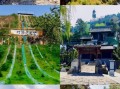 陕西渭南旅游景点有哪些_渭南十大必去景点排名