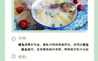 鲫鱼汤的功效与作用_鲫鱼汤怎么做