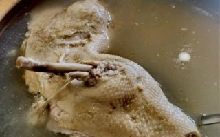 鸭汤的做法大全_鸭汤有什么功效