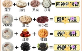 食疗治胃病最好的食谱_胃不好吃什么养胃