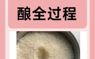 正宗米酒的做法视频_家庭自酿米酒步骤