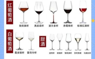 香槟杯怎么选_香槟杯和红酒杯区别