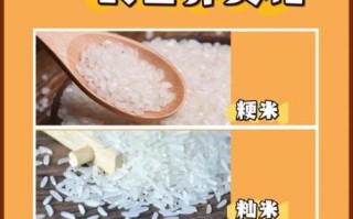 籼米粳米糯米的区别_哪个更适合做米饭