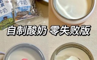 自制酸奶的做法_自制酸奶怎么做好吃