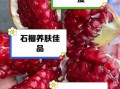 突尼斯软籽石榴的功效与作用_适合什么人吃