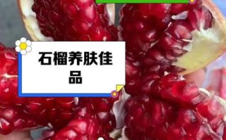 突尼斯软籽石榴的功效与作用_适合什么人吃