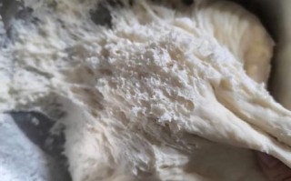 死面包子怎么做_死面包子皮怎么做不硬