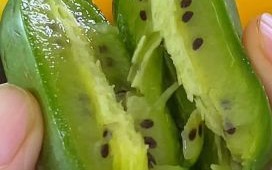 软枣子怎么吃_软枣子什么时候成熟