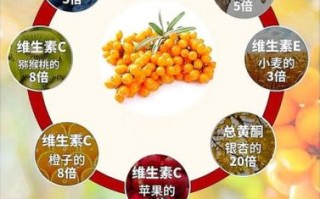 沙棘果有什么功效_沙棘果怎么吃效果最好
