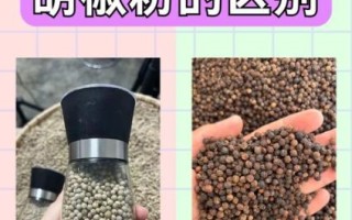 黑胡椒粉和白胡椒粉味道一样吗_区别与用法