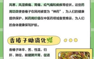 香椿子有什么功效_香椿子副作用有哪些