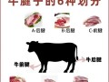 酱牛肉用牛的哪个部位最好_牛腱子肉还是牛肋条
