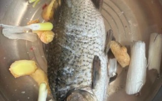 鲫鱼不用油煎直接水煮怎么做_水煮鲫鱼汤的家常做法