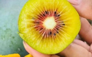 没熟的猕猴桃吃了会中毒吗_猕猴桃不熟吃了会怎样