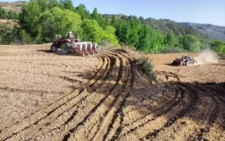 高原山地适合种什么_高原山地农业优势