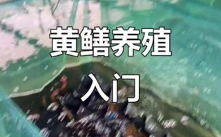 土池塘黄鳝养殖技术_如何提高成活率