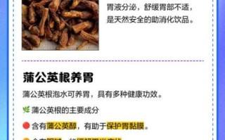 蒲公英有什么功效_蒲公英怎么泡水喝