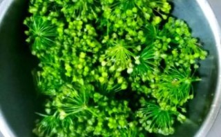 韭菜花怎么腌制好吃_韭菜花腌制方法