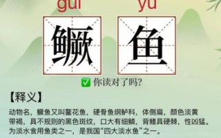 鳜jue怎么变成gui了_鳜鱼读音演变原因