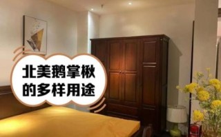 鹅掌楸木和橡木哪个好_家具选哪个更耐用