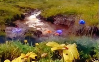 苦菜花歌曲原唱是谁_苦菜花歌词背后的故事