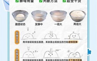 用酵母粉发面需要多久_冬天发面时间怎么缩短
