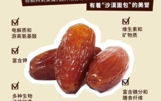 椰枣的功效与作用_椰枣怎么吃最健康