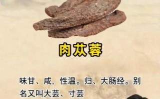 壮阳中药有哪些_如何坚硬如铁