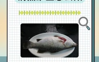 怎样蒸鱼不腥_蒸鱼最好吃的做法