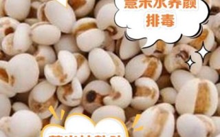 薏仁米怎么煮去湿气_薏仁米去湿气要炒吗