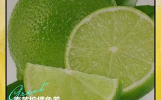 青柠檬美白还是黄柠檬_哪个更靠谱