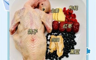 鸽子汤禁忌放什么_鸽子汤不能放什么食材