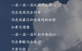 洋葱歌曲表达了什么情感_如何理解洋葱歌词