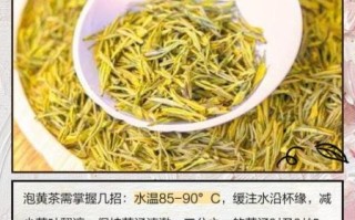 黄茶怎么泡_黄茶冲泡水温多少度