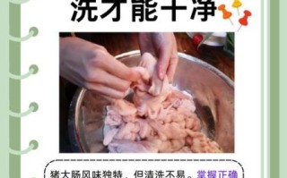 肥肠怎么洗不臭_肥肠清洗去味视频教程