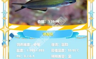 中国常见虾虎鱼有哪些_虾虎鱼怎么分公母