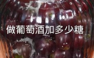 自酿葡萄酒的正确做法_家庭自酿葡萄酒常见问题